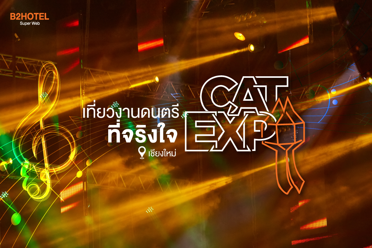 Cat Expo: งานแคทเชียงใหม่ มาจอยด้วยกันที่ลานม่วนใจ๋! | โรงแรมบีทู บูติค ...